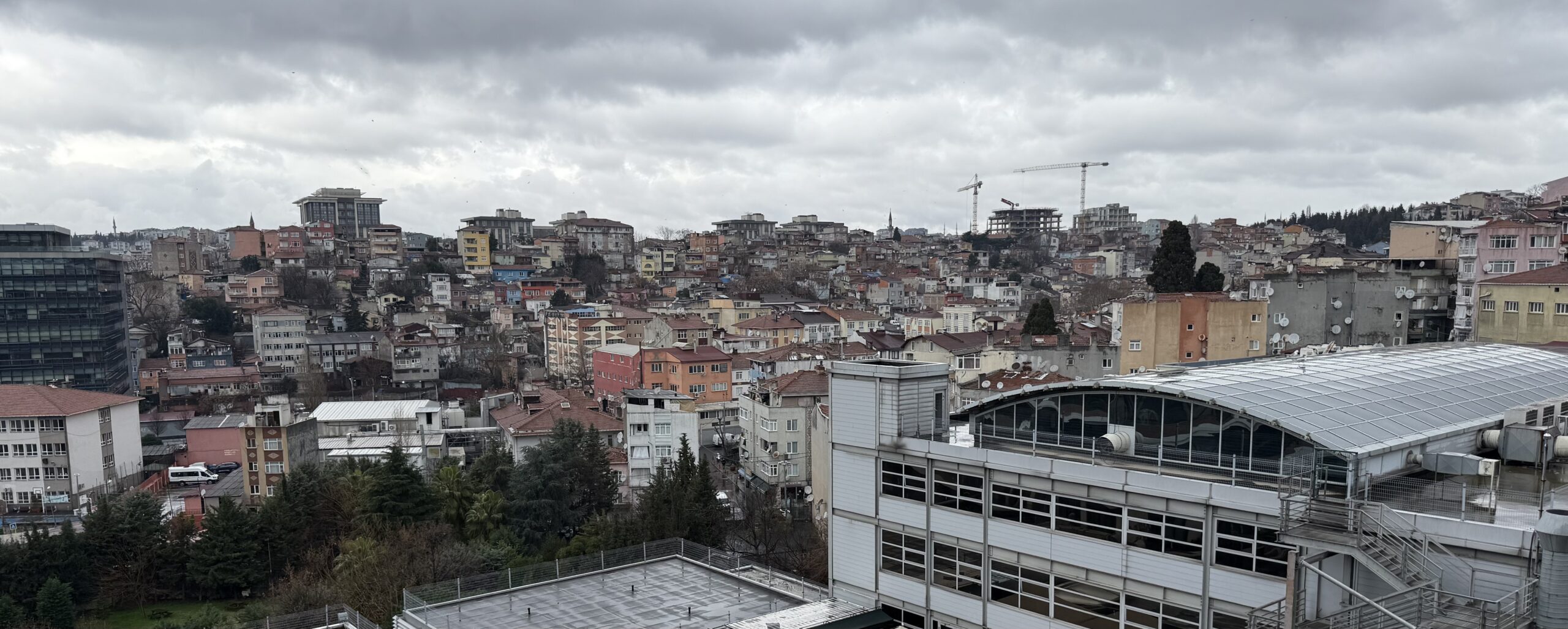 What One Bridge does - John Gunter